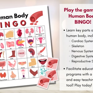 Human Body Anatomy BINGO Game, Body Organs, Classroom Education ...