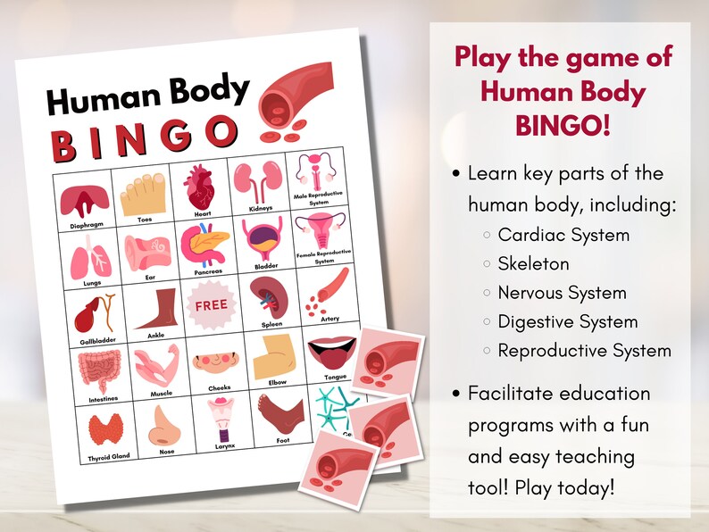 Human Body Anatomy BINGO Game Body Organs Classroom - Etsy