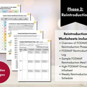 FODMAP Diet Bundle, FODMAP Elimination Reintroduction Planner, 10 ...
