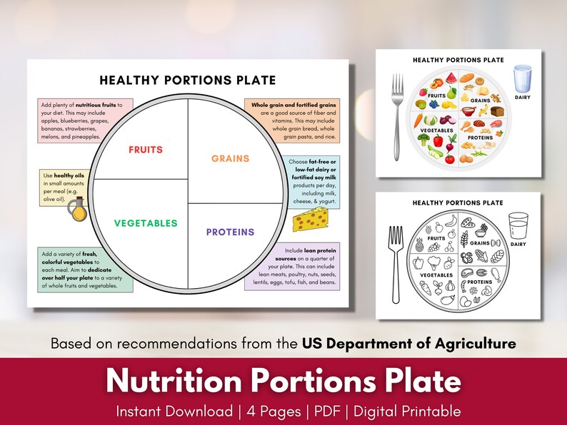 Nutrition Plate Healthy Portions Plate Visual Eating Guide - Etsy