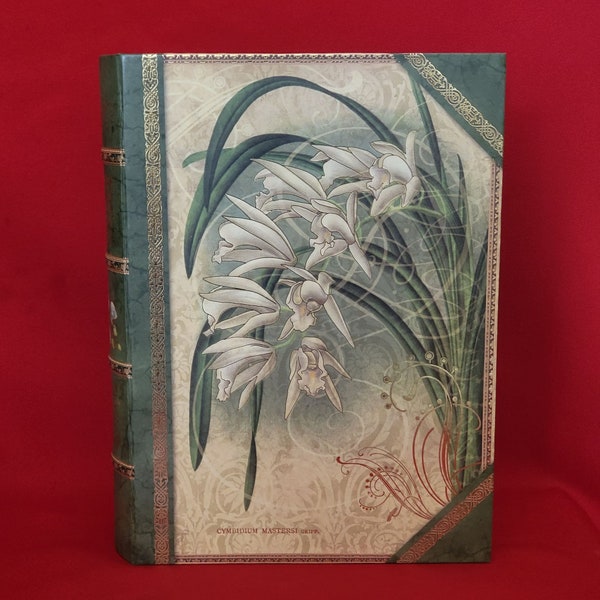 Punch Studio Boxes - Etsy