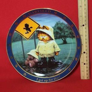 Danbury Mint I Got up for This Jim Davis A Day With Garfield Decorative ...