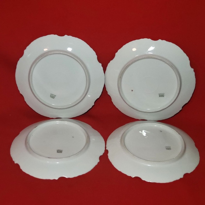 Antique Z S & Co Bavaria Roses Marseille Handpainted Salad - Etsy