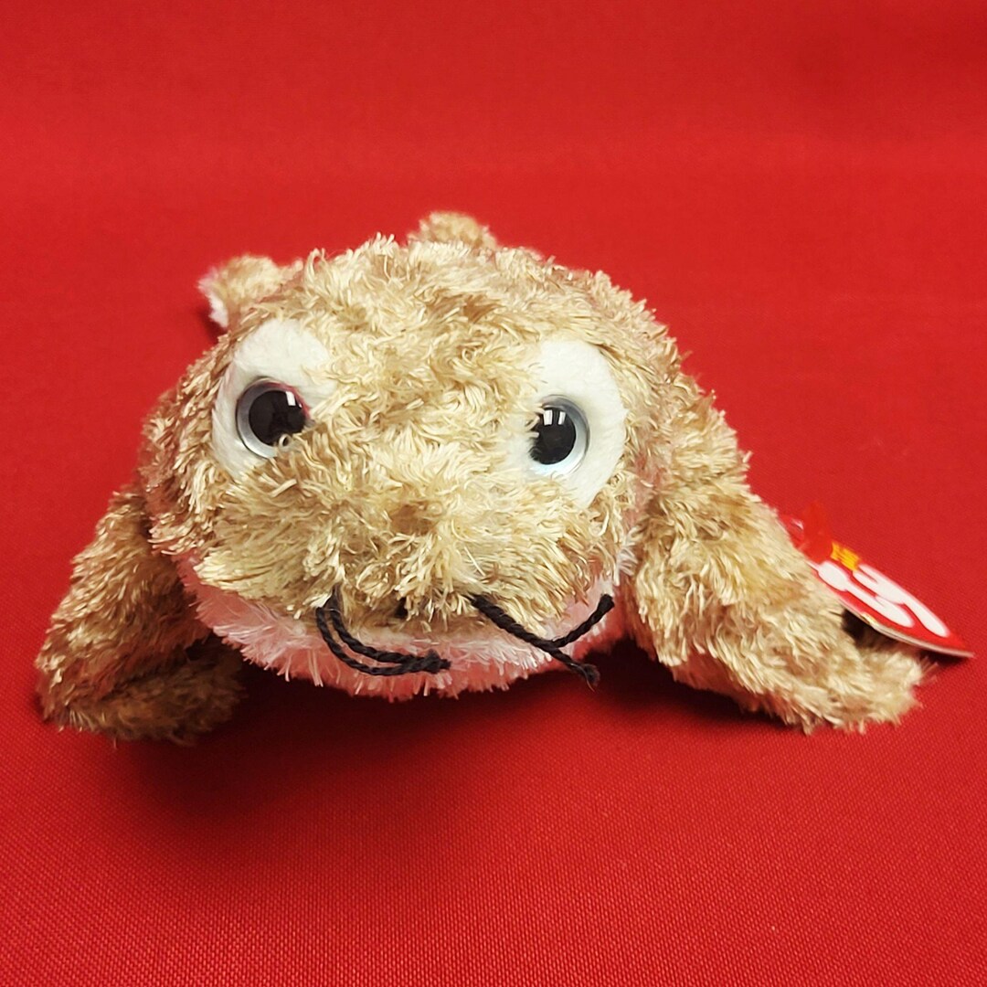 Ty Beanie Baby Babies Fins the Seal 2003 - Etsy