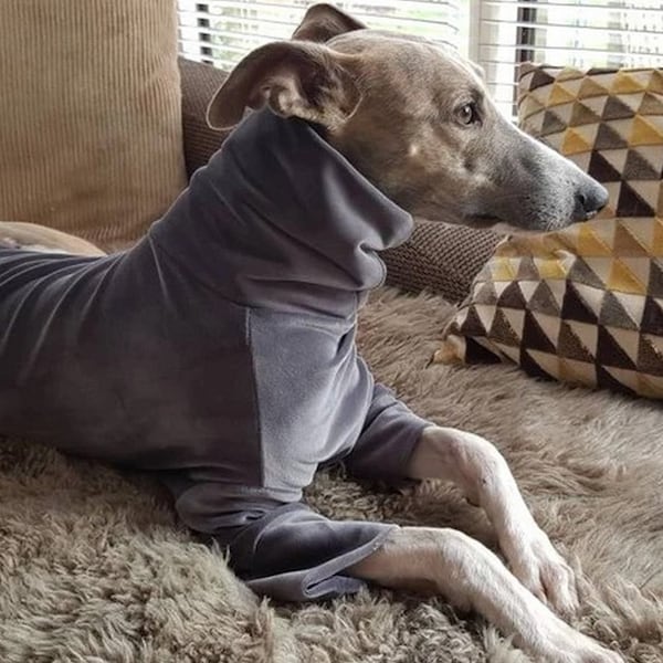 Greyhound Pajamas - Etsy