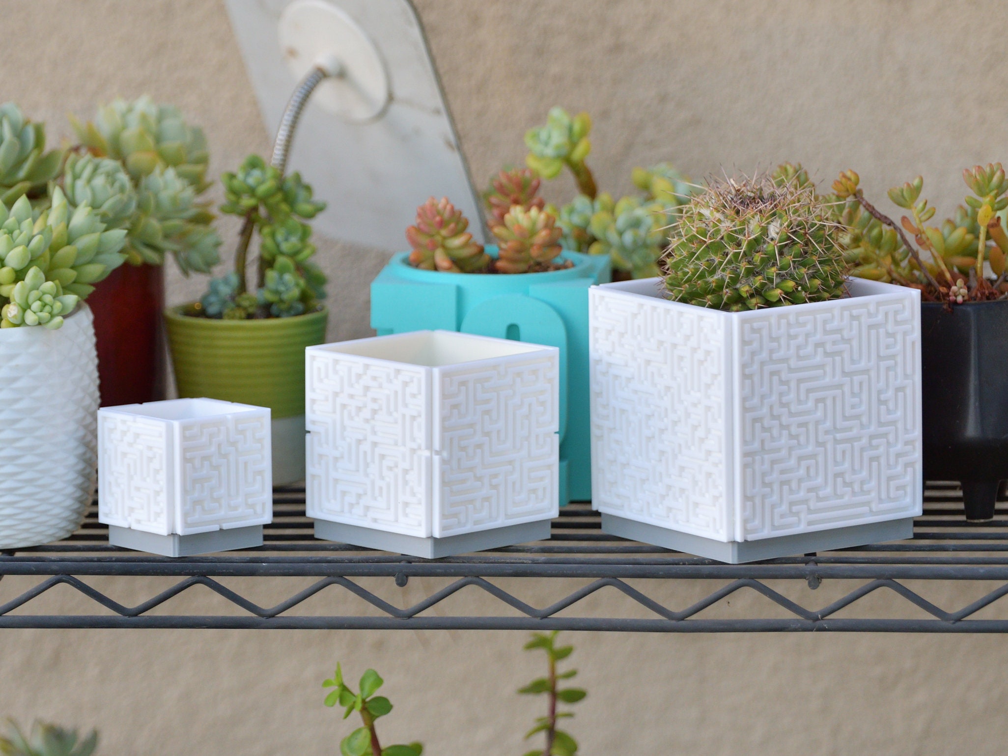 Square Maze Succulent Planter Pot – Minimalist Table Decor - Etsy