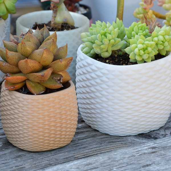 Small Wood Planter - Etsy