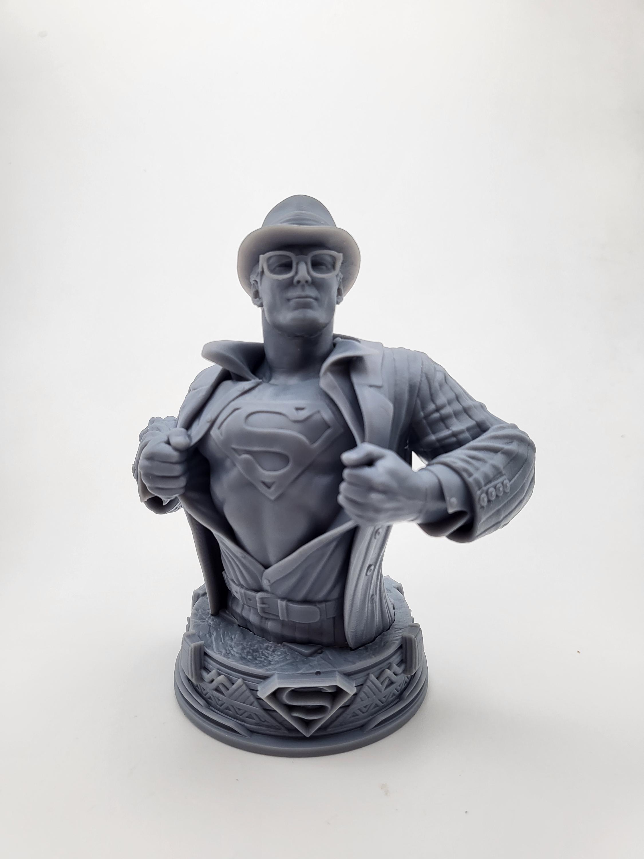 Super Farmboy Bust - Etsy