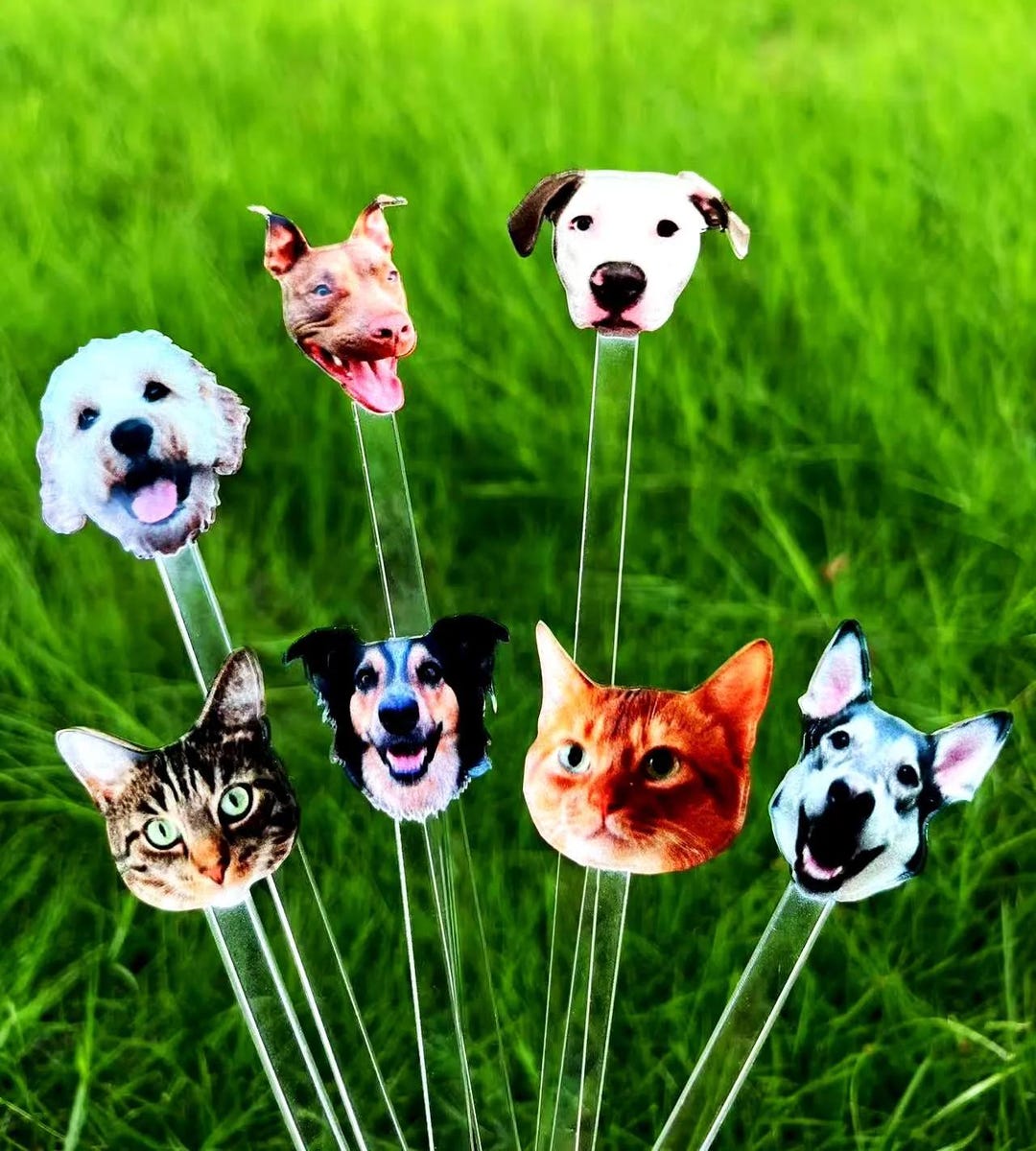 Custom Drink Stir Sticks – Personalized With Pet or Person’s Face ...