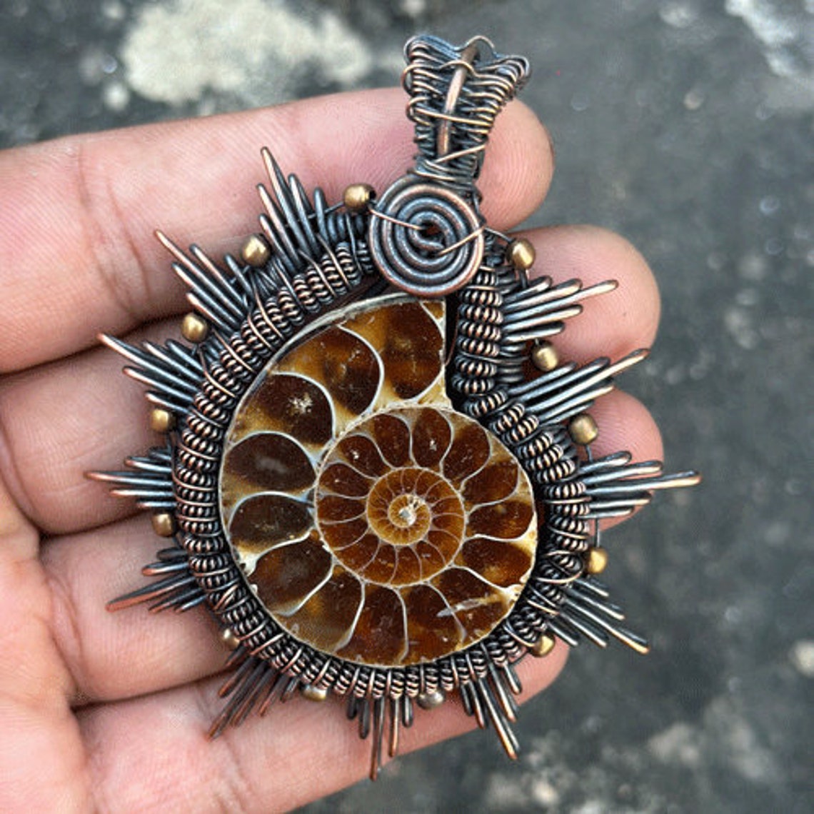 Handmade Copper Wire Wrapped Ammonite Fossil Pendant - Etsy