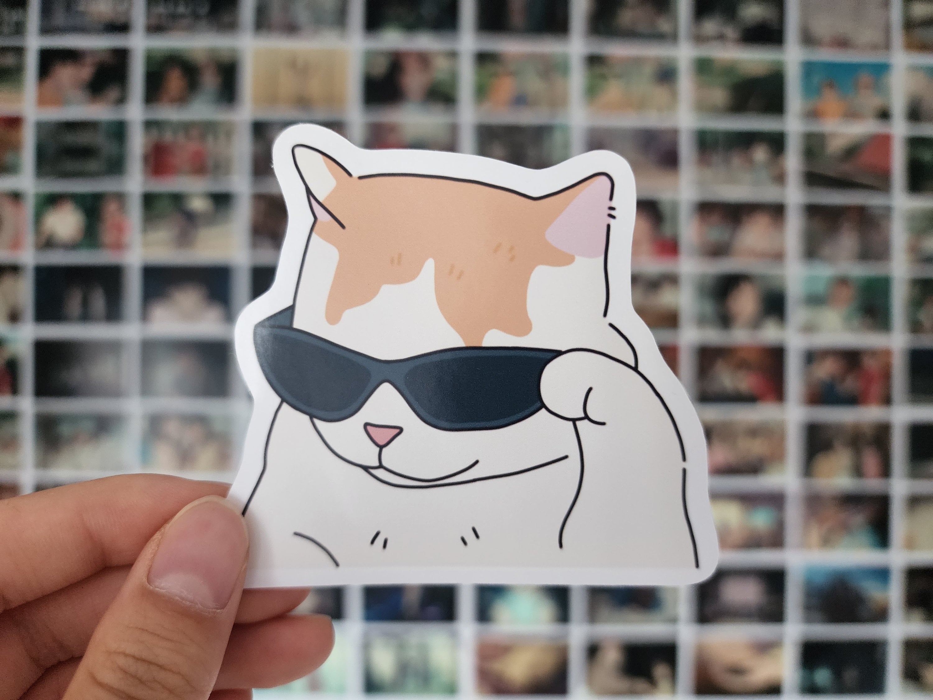 Cute Cat Sunglasses Meme