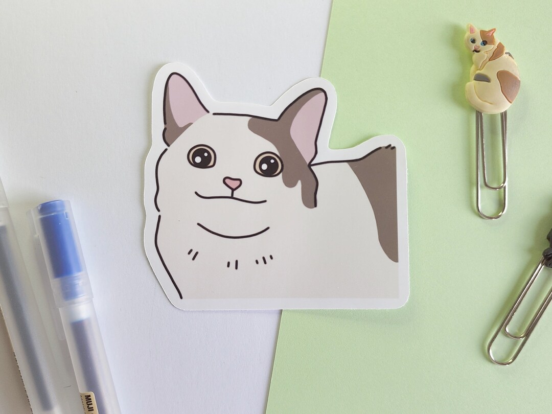 Polite Smiling Awkward Cat Glossy Stickers Cute Cat Meme Funny ...