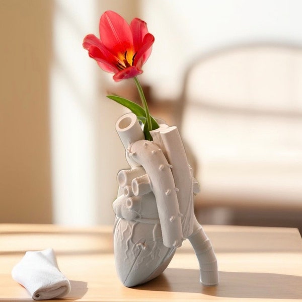 Anatomical Heart Vase - Etsy