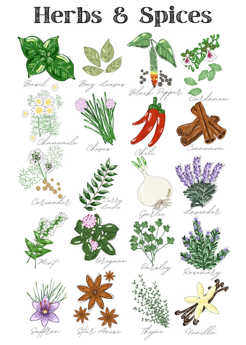 Herbs and Spices Poster Printable Wall Art Kitchen Decor Aesthetic ...