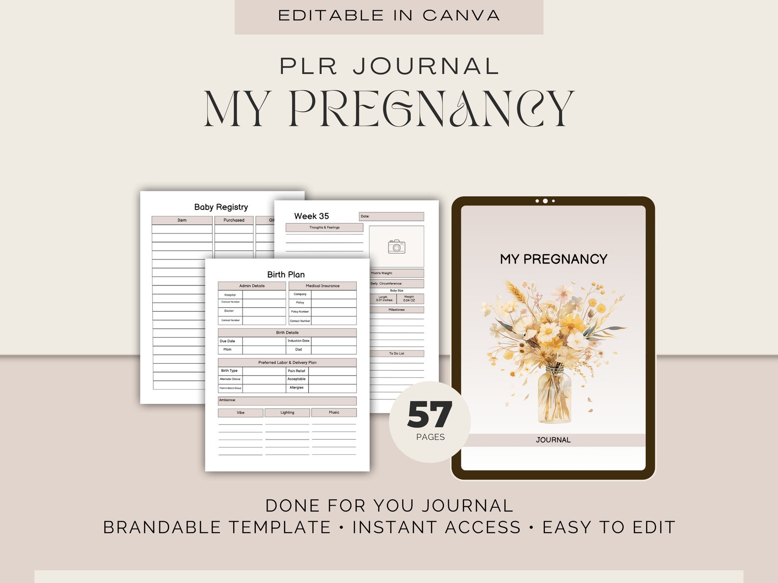 Pregnancy Planner Plr, Pregnancy Journal, Expecting Mom Kit, Motherhood ...