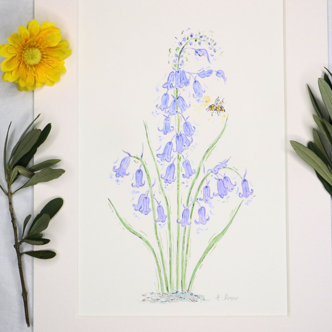 Bluebell Original Signed Watercolour Painting, Bluebell Picture ...