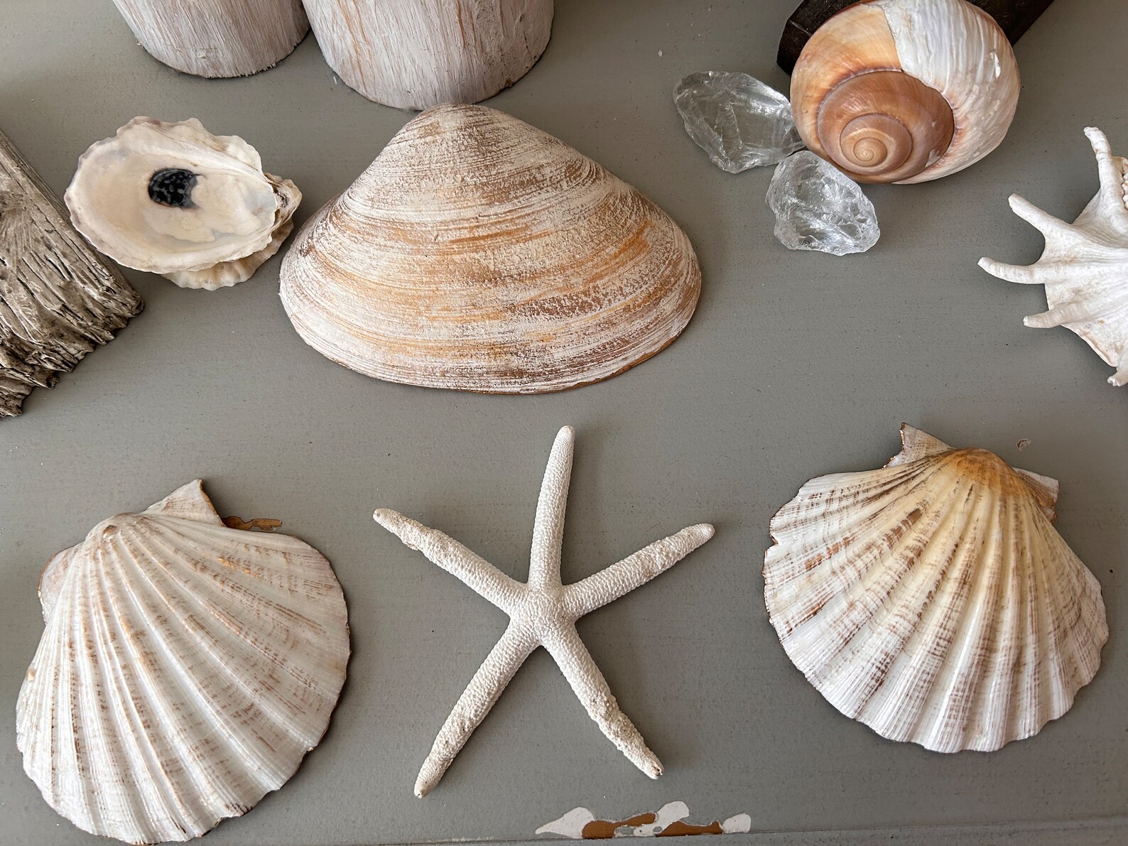 Decoupaged Clam Shell Ring Dish: Coastal Jewelry Trinket Dish - Etsy