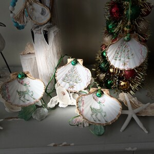 Scallop Shell Ornament, Scallop Shell, Decoupaged Christmas Ornament ...