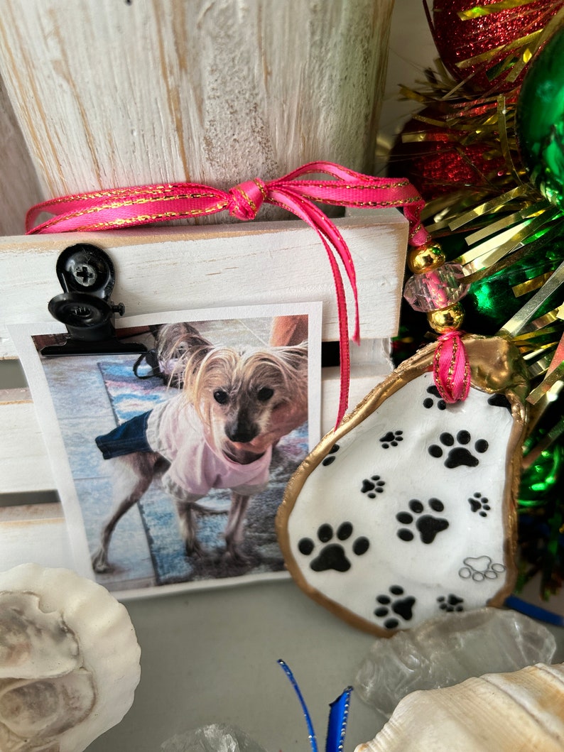 Oyster Shell Paw Print Pet Ornament: Coastal Christmas Decor - Etsy