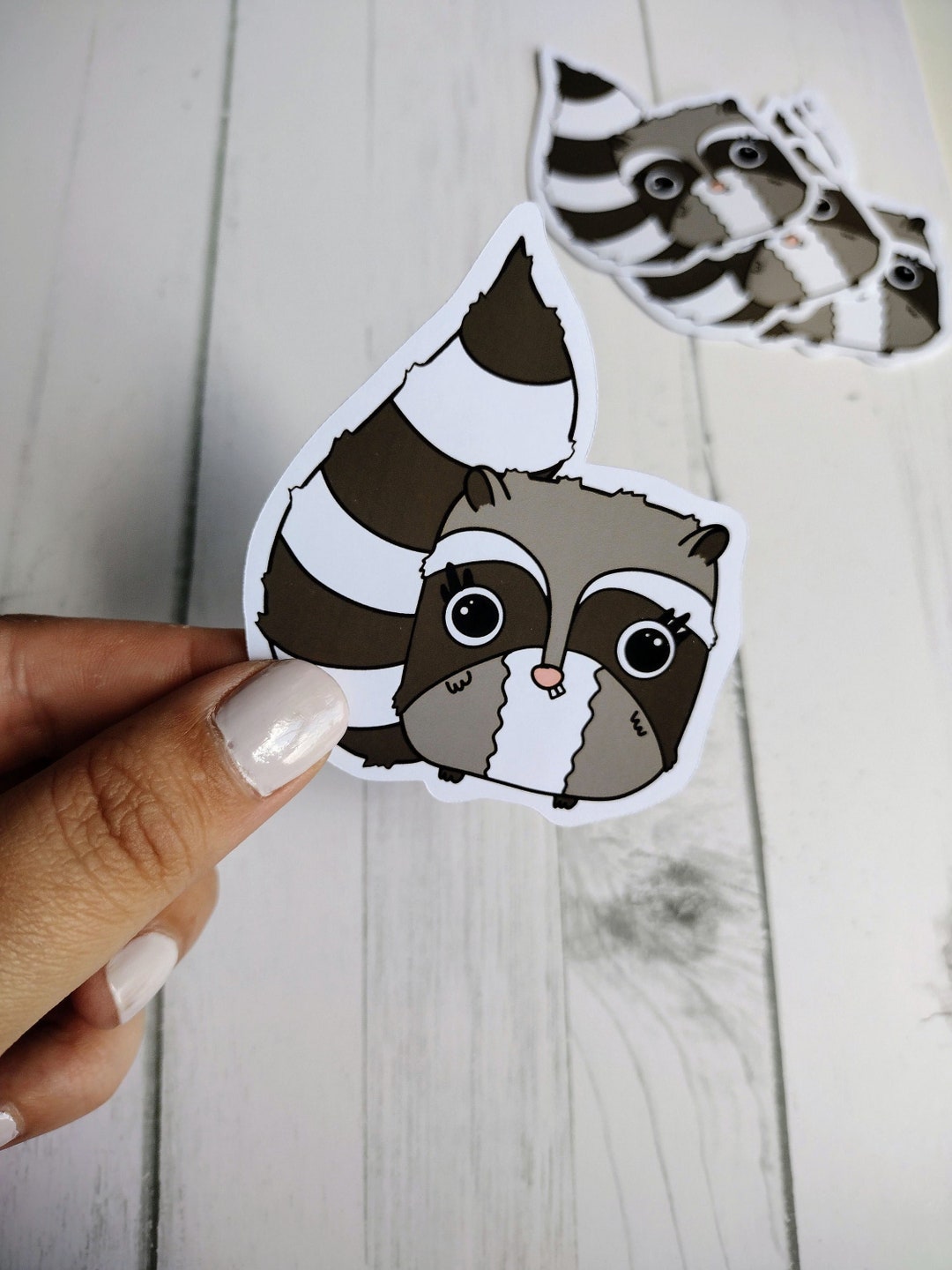 Square Bucktooth Raccoon Sticker Cute Animal Vinyl Decal, Funny ...