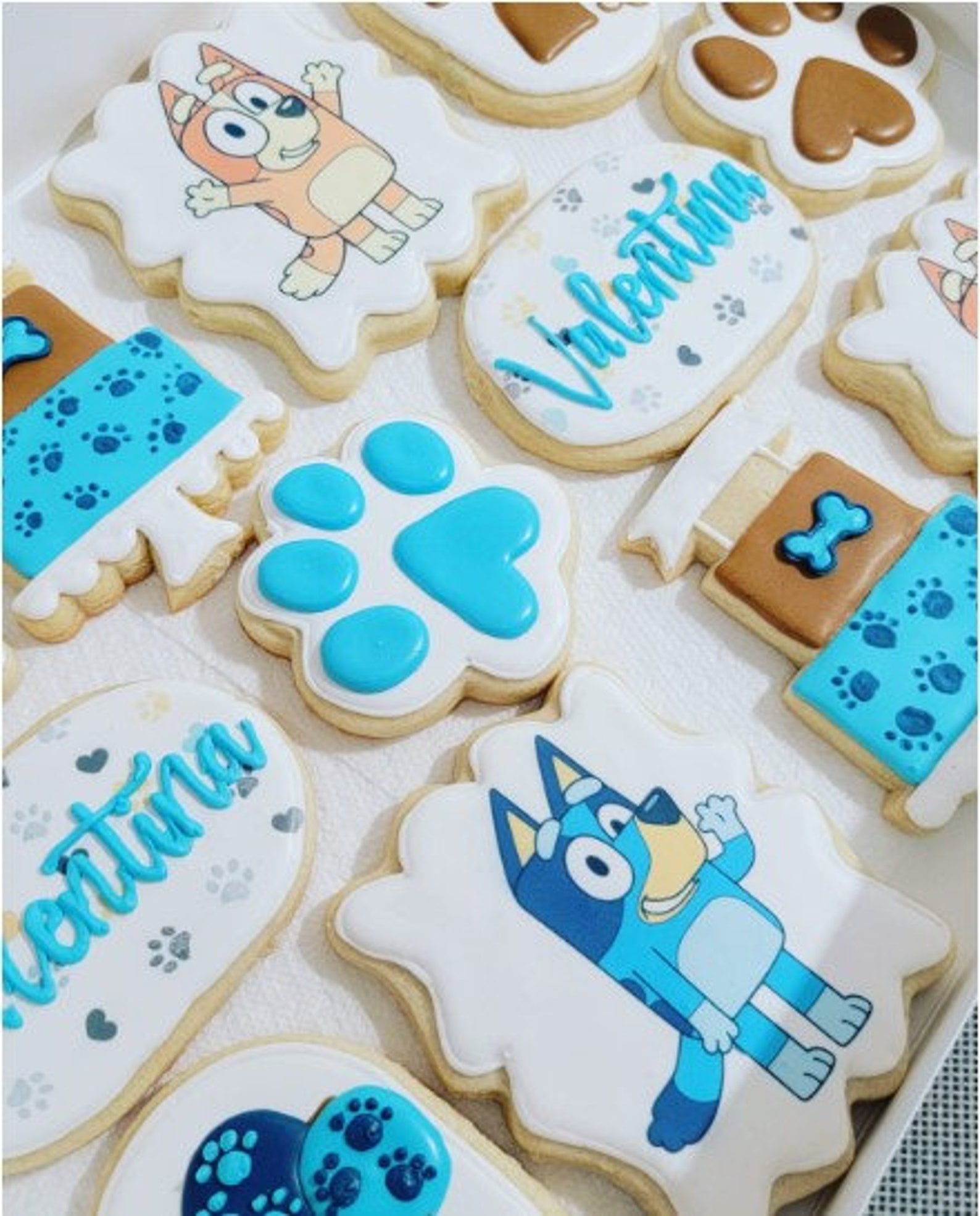 1 Dozen Bluey Themed Sugar Cookie - Etsy