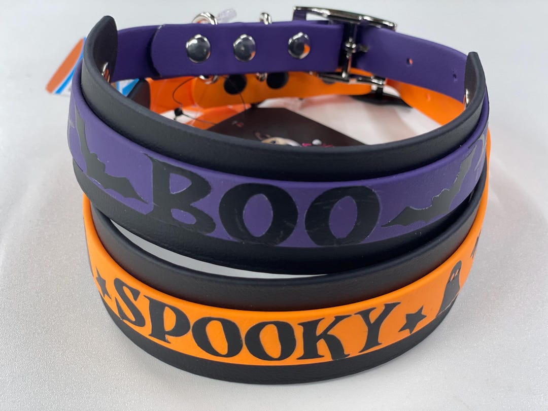 Dog Collar Halloween Spooky Collar for Dog Festive Dog Accessory ...