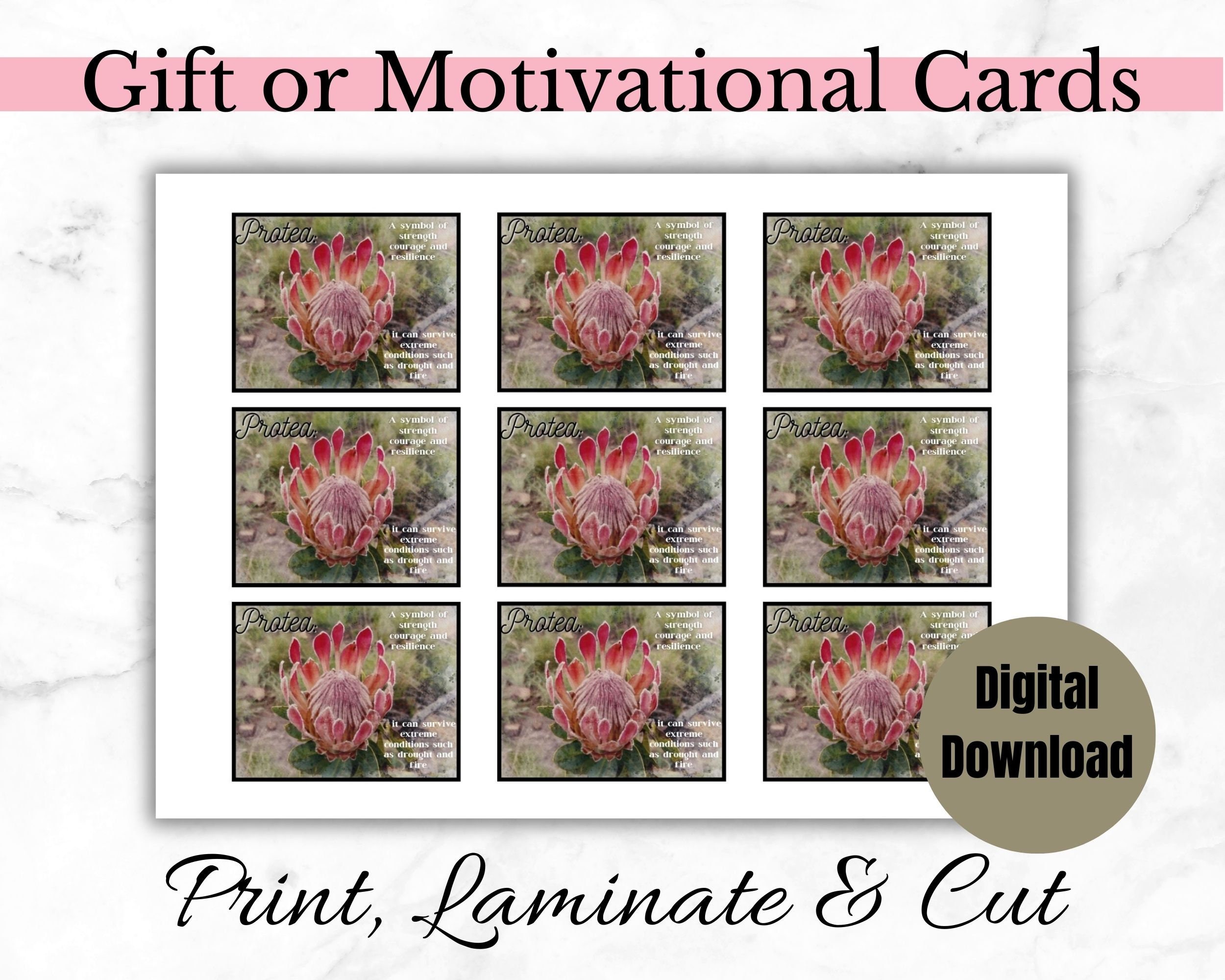 Nature Quotes Motivational Quote for Teachers and Students - Etsy