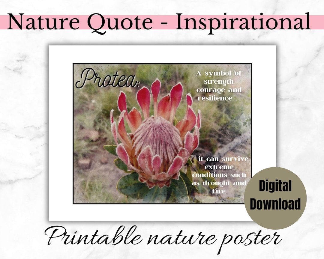 Nature Quotes, Motivational Quote for Teachers and Students, Positive ...