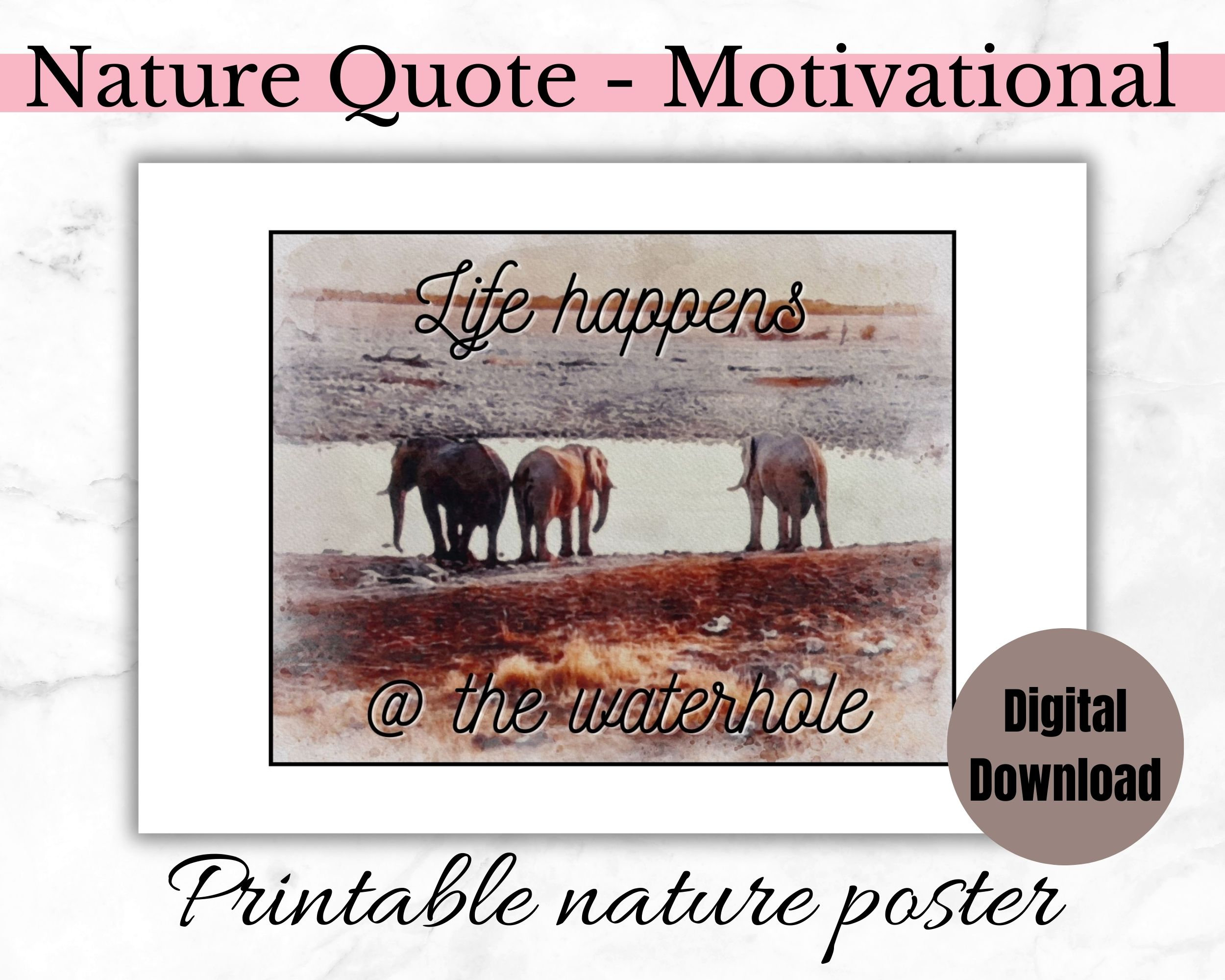 Motivational Life Quote, Poster for Teachers and Students, Positive ...
