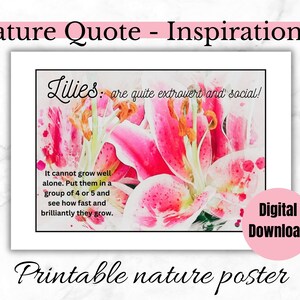 Nature Quotes, Motivational Quote for Teachers and Students, Positive ...