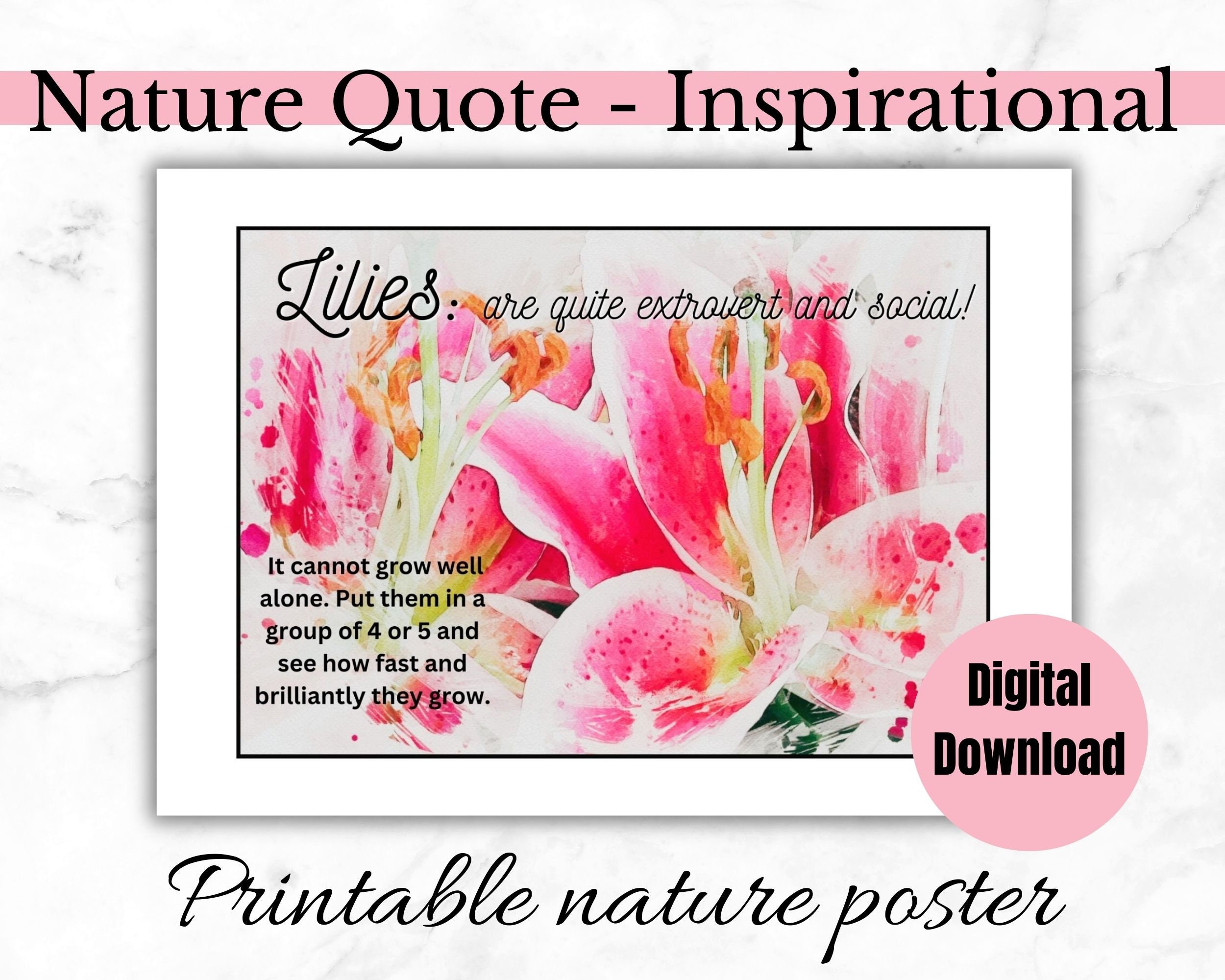 Nature Quotes, Motivational Quote for Teachers and Students, Positive ...