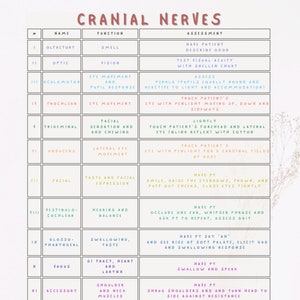 Cranial Nerve Cheat Sheet + Description | Nursing Guides, Nurse ...