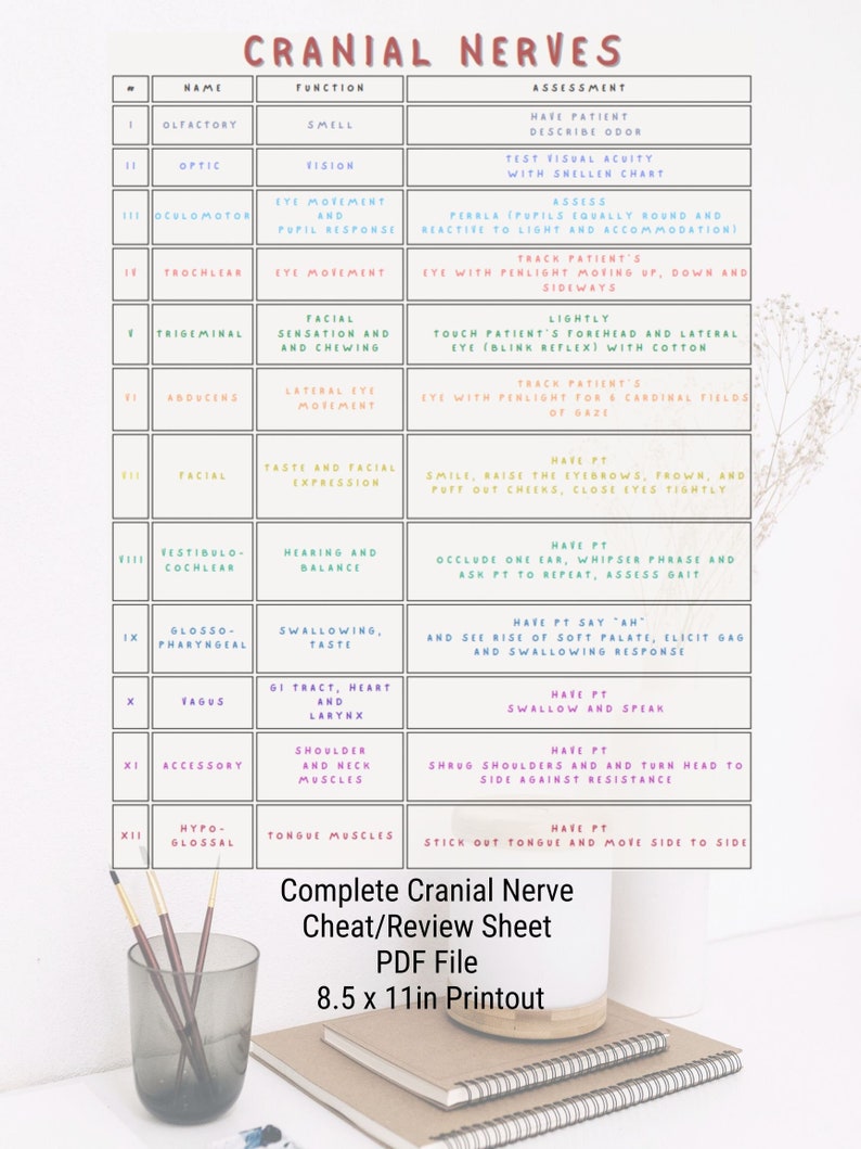 Cranial Nerve Cheat Sheet + Description | Nursing Guides, Nurse ...