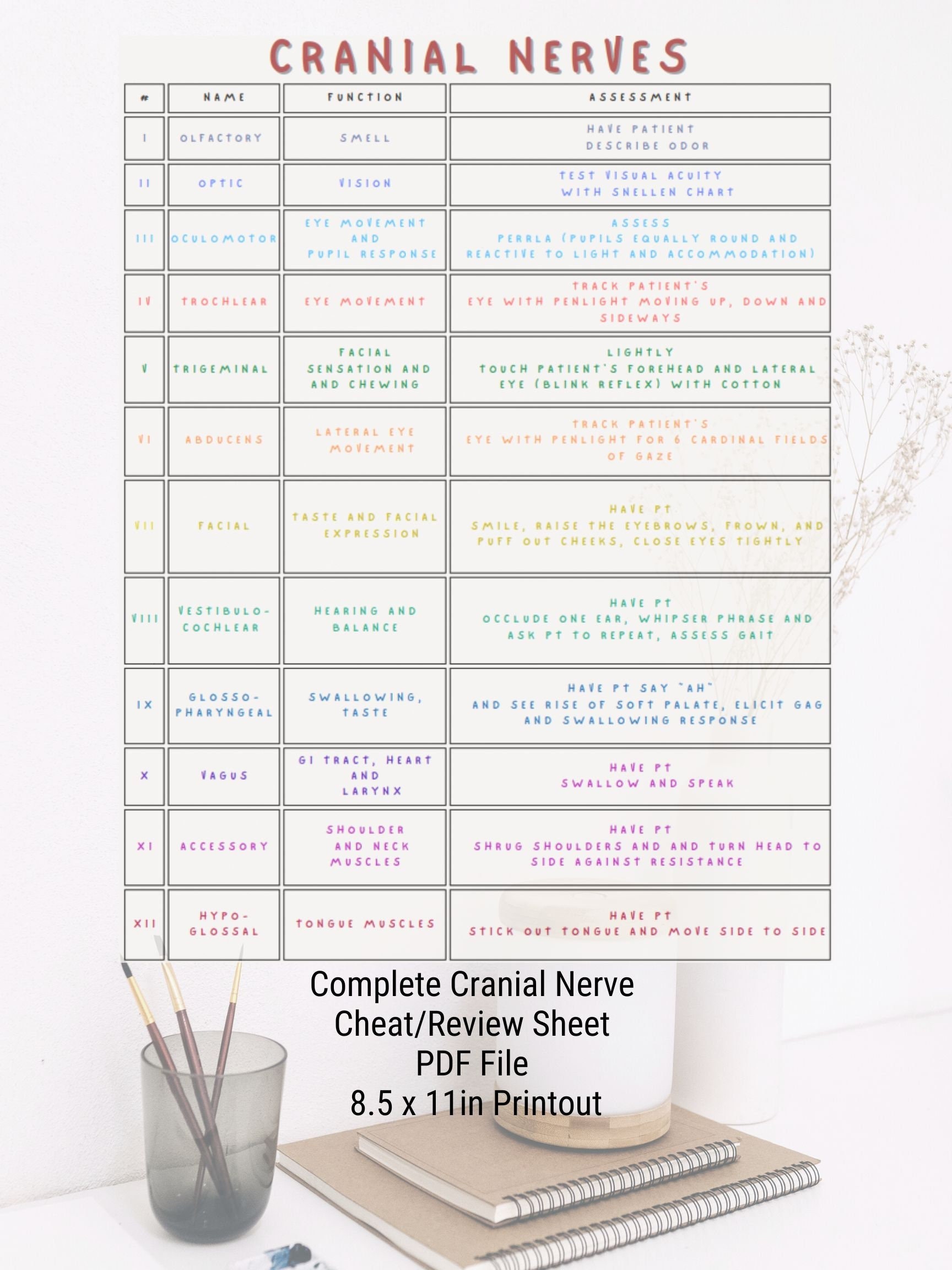 Cranial Nerve Cheat Sheet + Description | Nursing Guides, Nurse ...