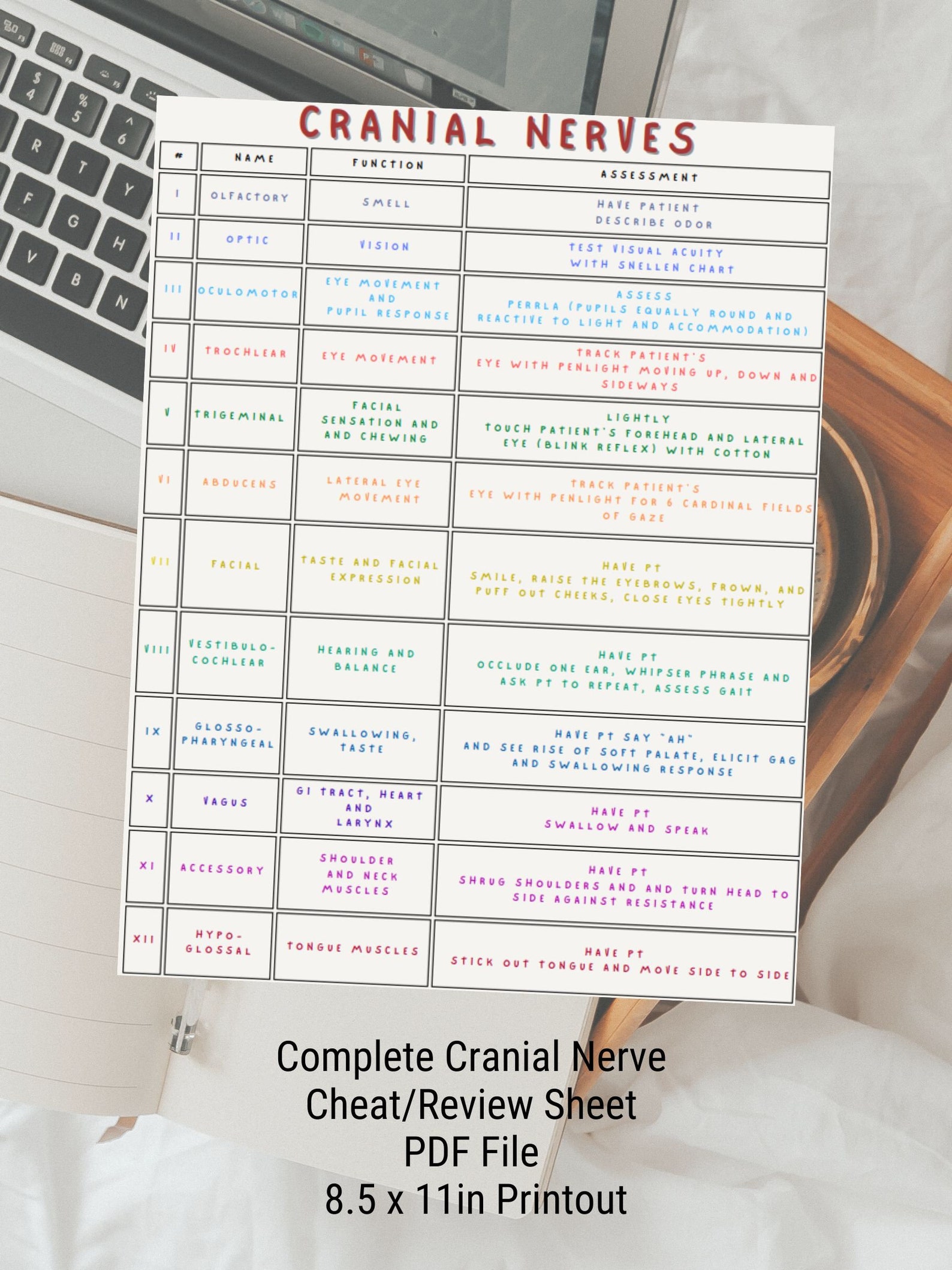 Cranial Nerve Cheat Sheet + Description | Nursing Guides, Nurse ...