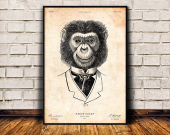 Primate Poster - Etsy UK