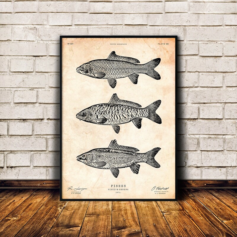 Vintage Fish Poster - Etsy
