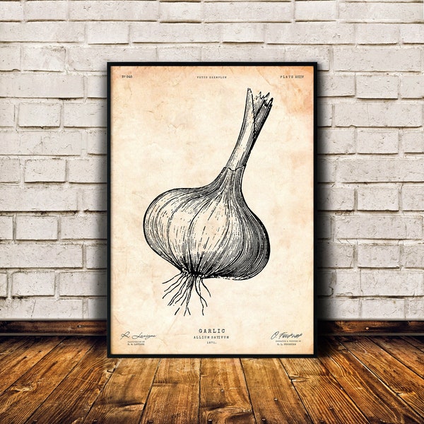 Garlic Art - Etsy