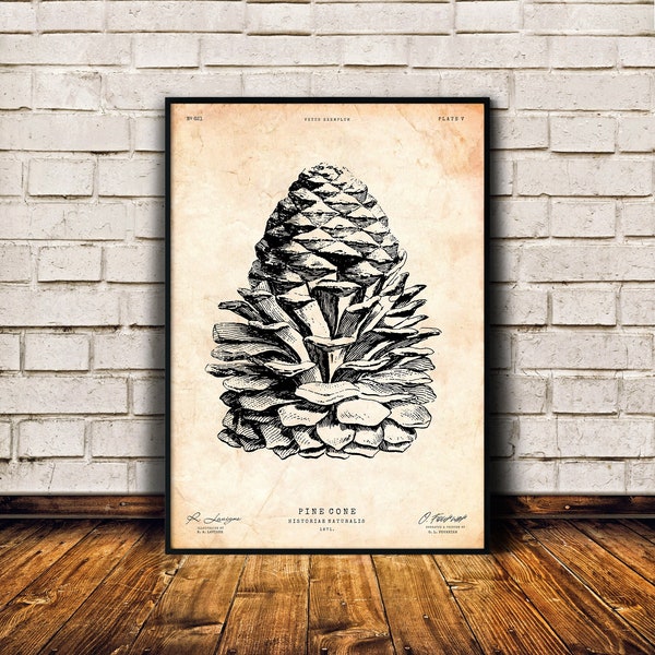 Pinecone Wall Decor - Etsy