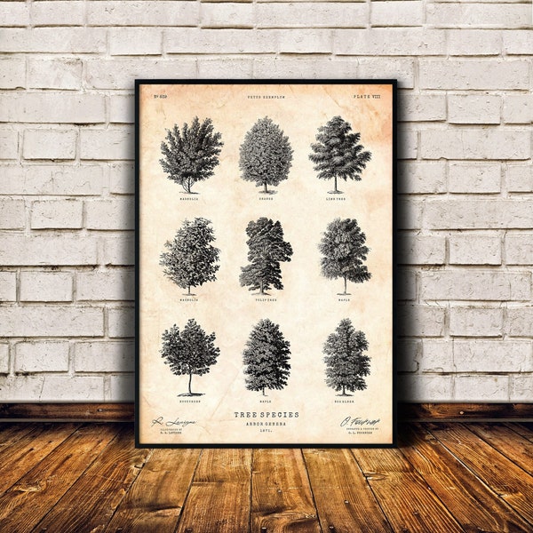 Types of Tree Poster - Etsy