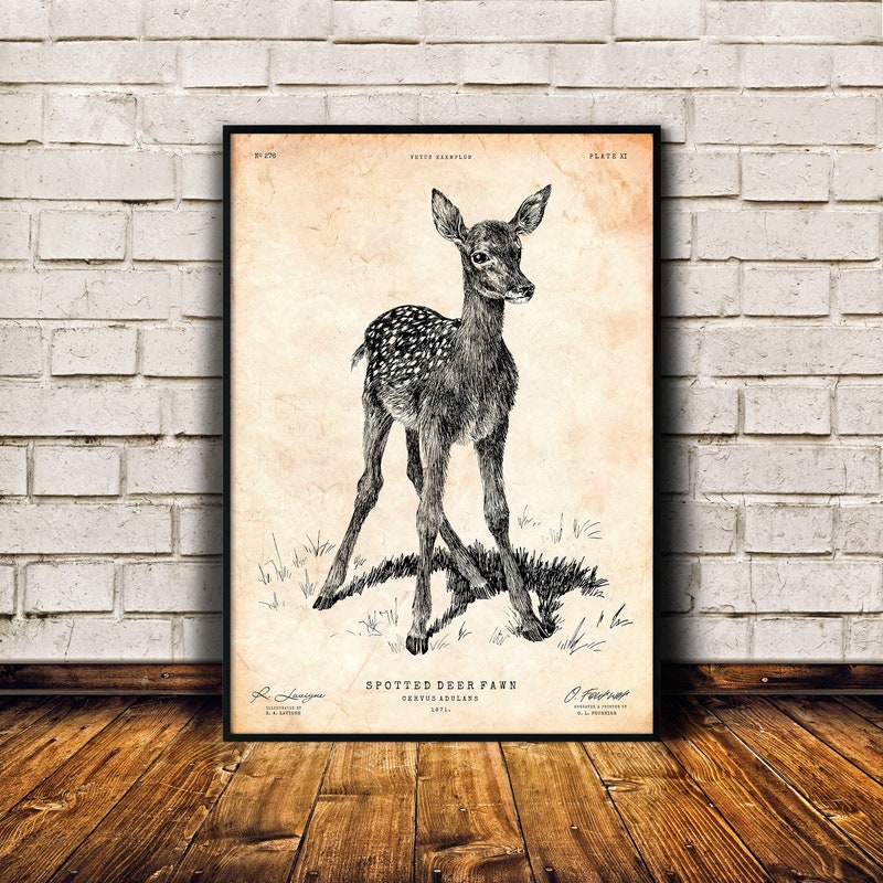 Baby Deer Art - Etsy