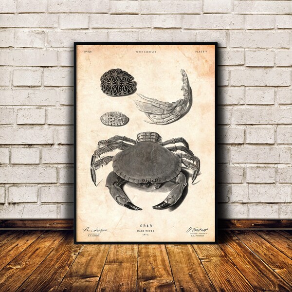 Seafood Posters - Etsy