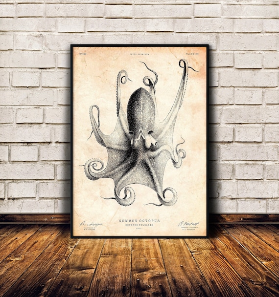 Vintage Octopus Art