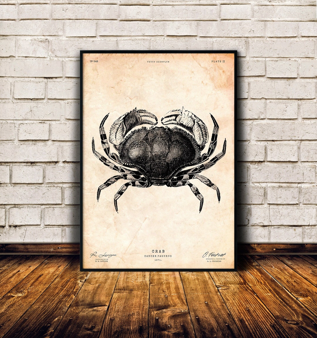 Crab Print, Vintage Poster, Beach House Print, Nautical Decor, Sealife ...