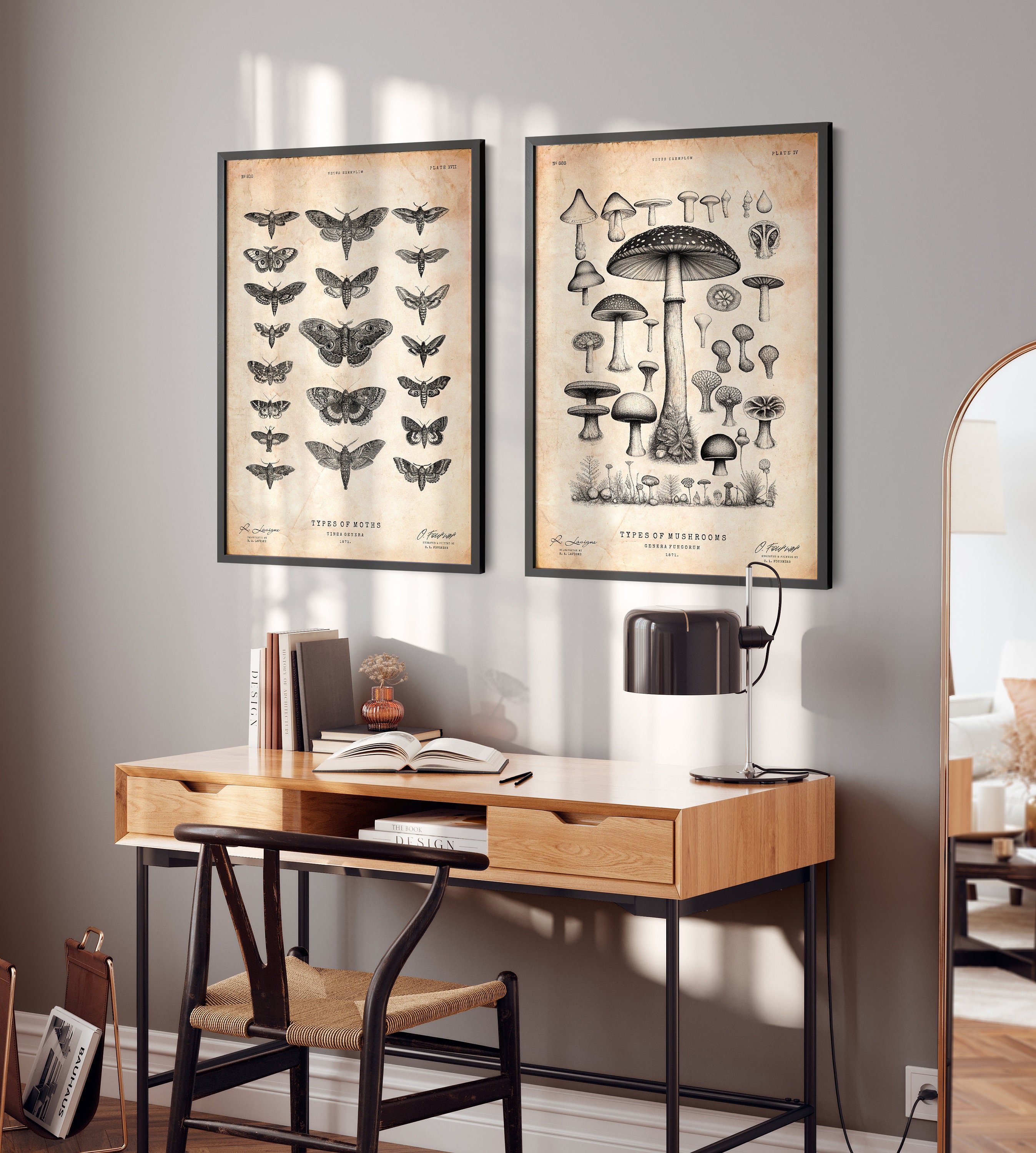 Types of Mushrooms Chart, Cottagecore Decor, Mycology Art Print, Cabin ...