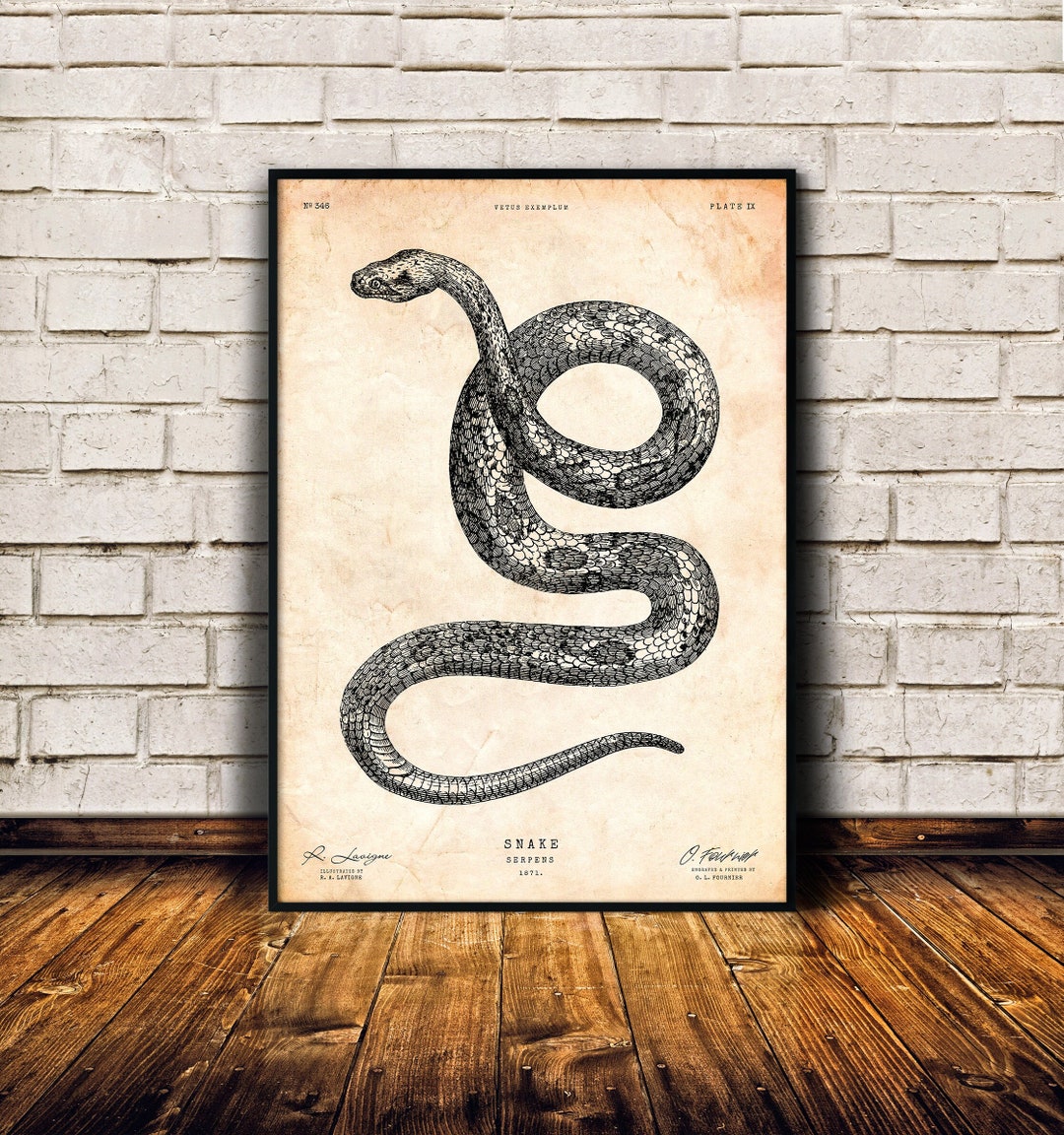 Snake Art Print, Reptile Gift, Lodge Wall Art, Vintage Animal Print ...