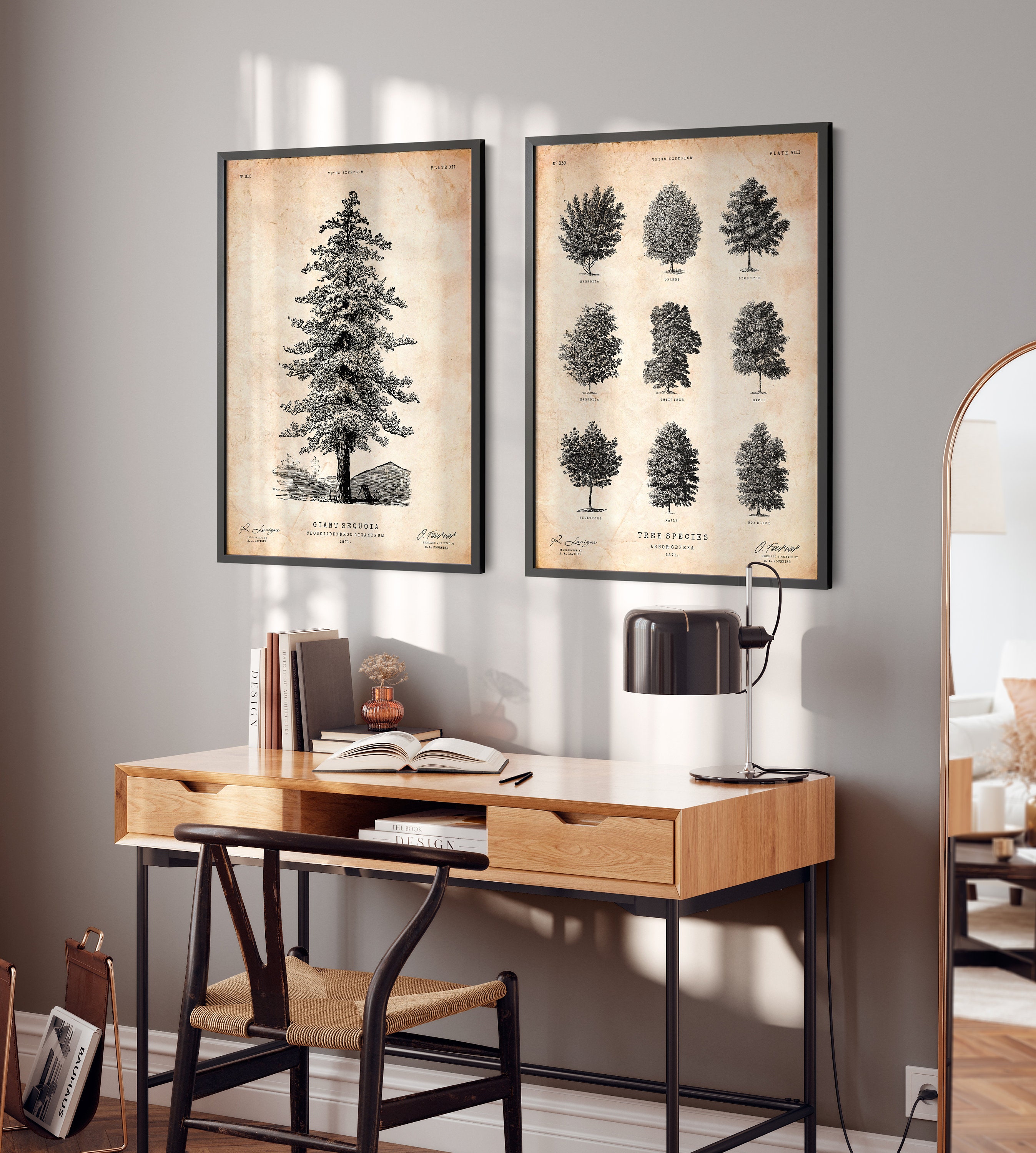 Tree Art Print, Types of Trees Poster, Forest Wall Art, Cabin Decor ...