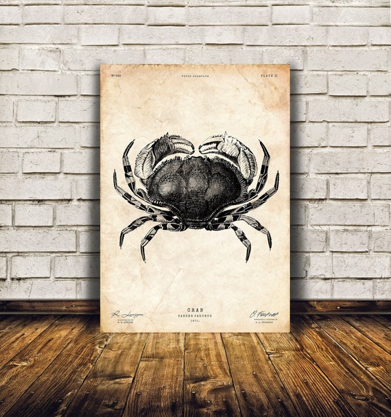 Crab Print Vintage Poster Beach House Print Nautical Decor - Etsy