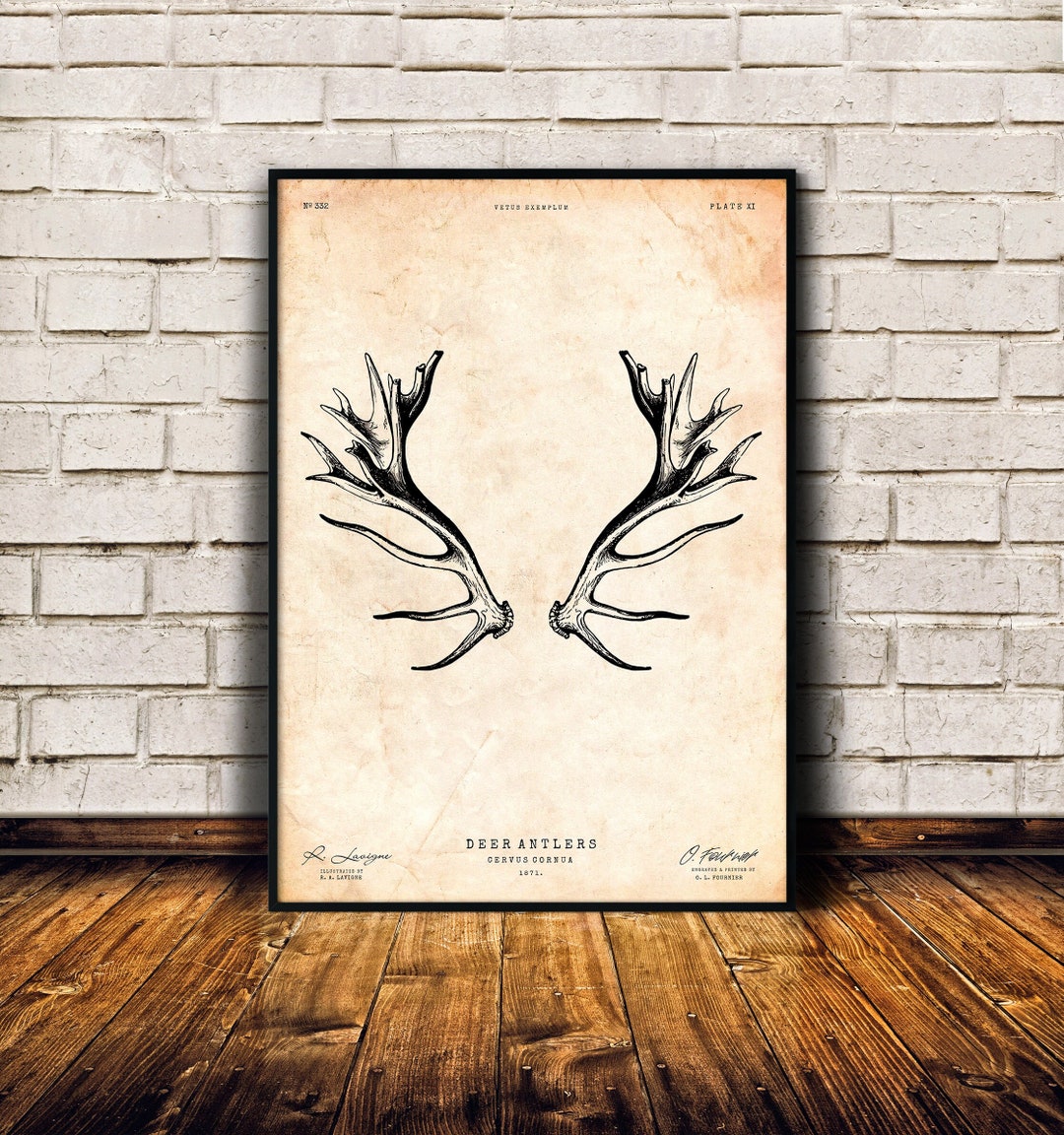Deer Antlers Wall Art, Cabin Decor, Deer Print, Animal Lover Gift ...