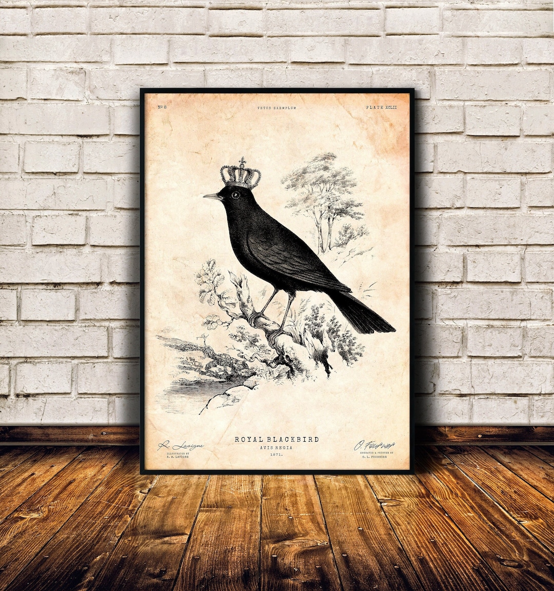Blackbird Print, Vintage Bird Poster, Bird Lover Gift, Bird Print ...